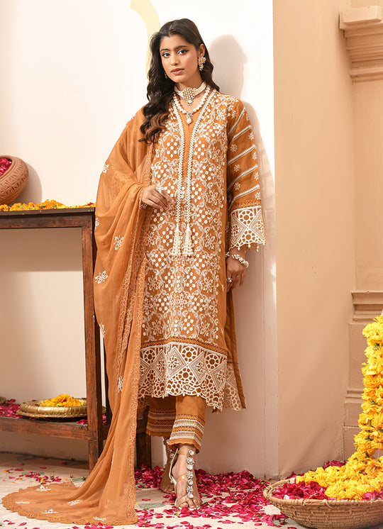 New Arrivals – Addee PK