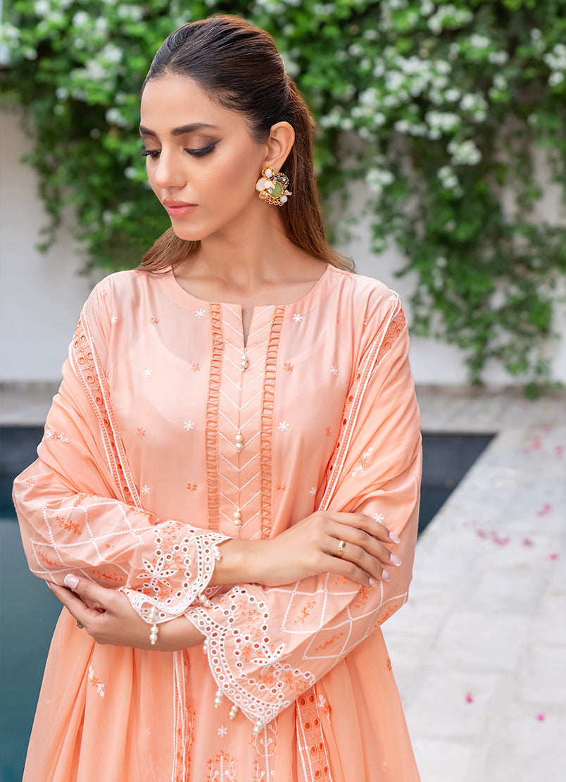 New Arrivals – Addee PK