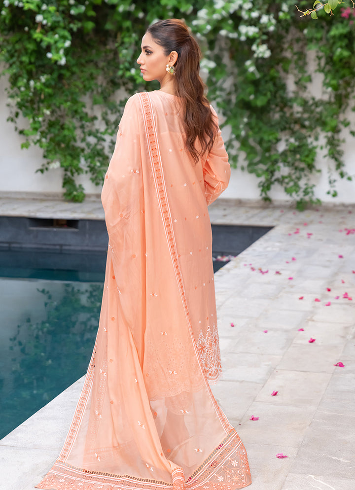 New Arrivals – Addee PK