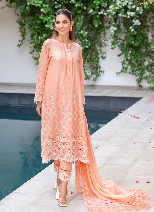 New Arrivals – Addee PK