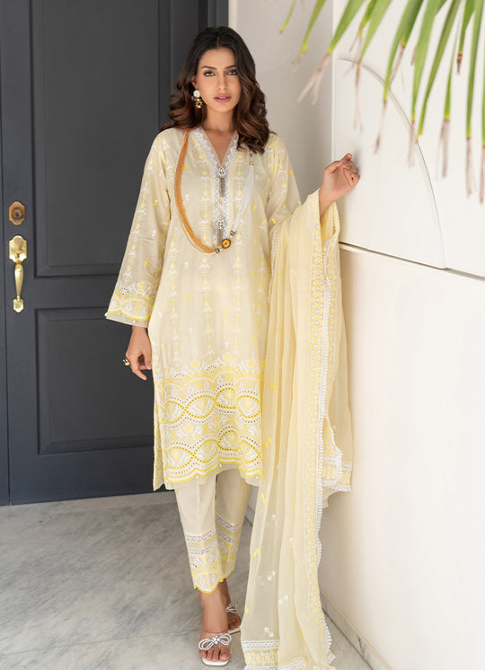 New Arrivals – Addee PK